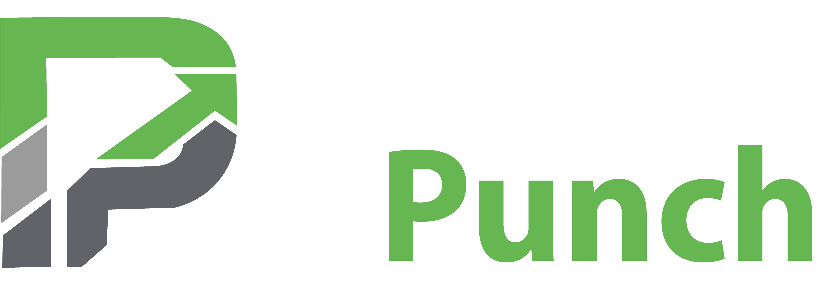 Partner Punch